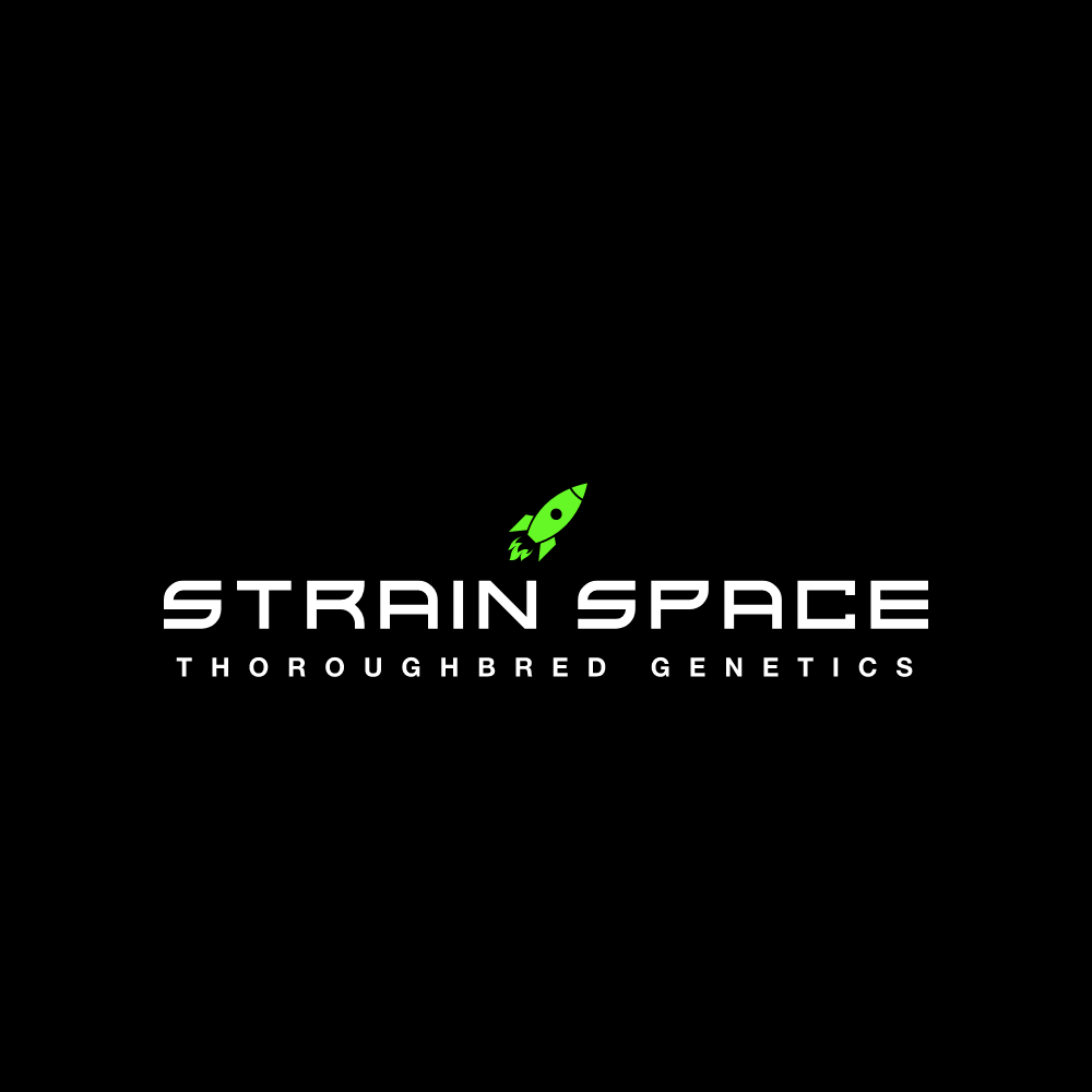 STRAIN SPACE – STRAIN SPACE - THOROUGHBRED GENETICS